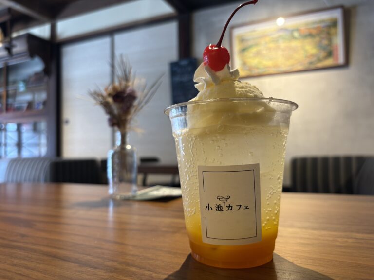 【1日観光モデルコース】特急ラビューで行く！車なしで楽しむレトロな秩父街歩き -秩父旅行 1日目- | まなてぃの旅日記